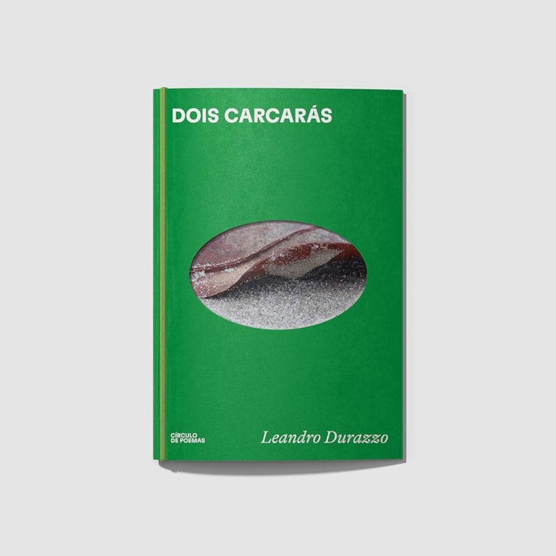 Dois carcarás, de Leandro Durazzo